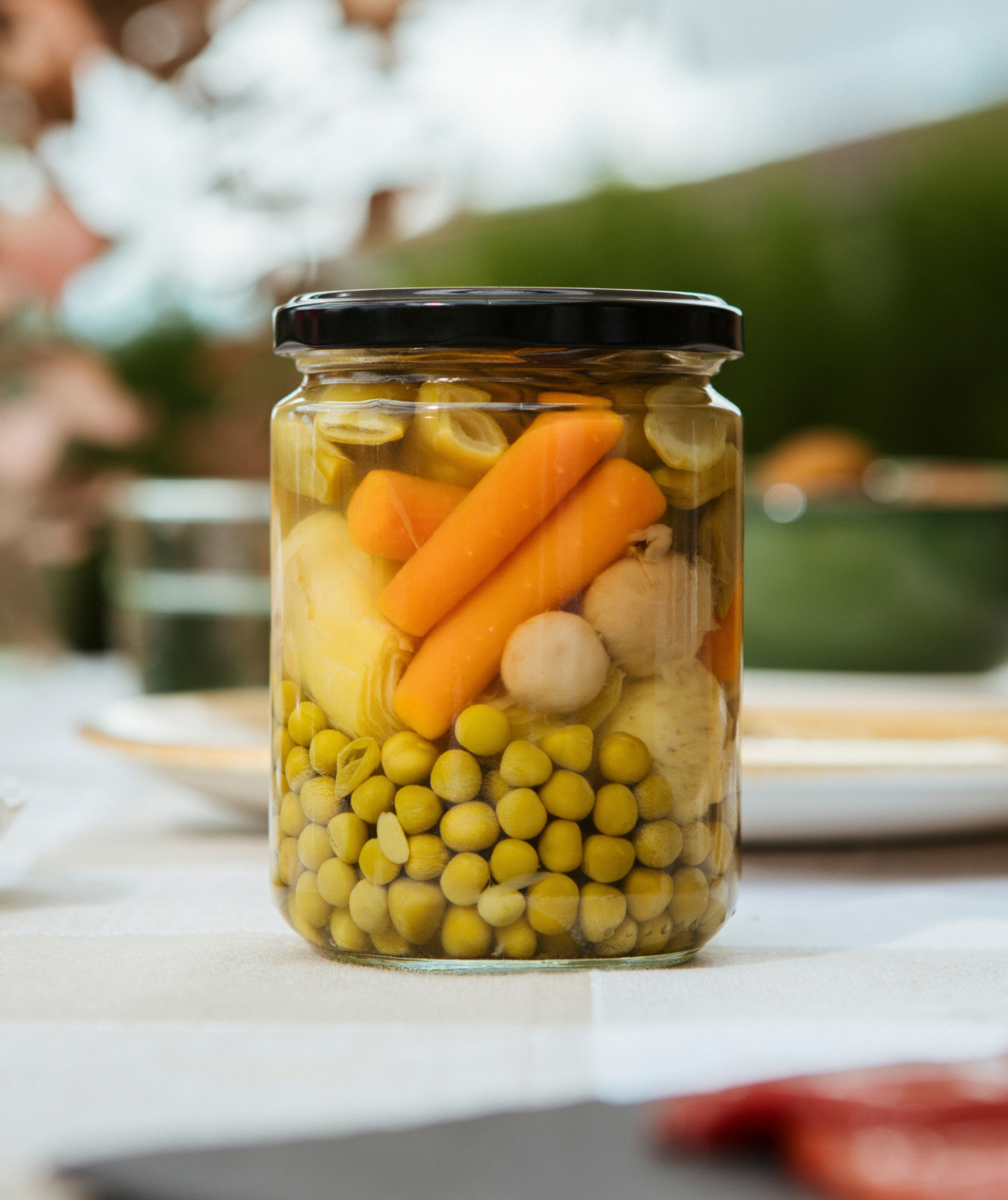 Conservas vegetales - MCA